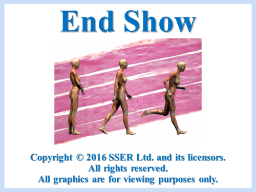 PE_A_Skeletal Muscle Structure - 2 | Teaching Resources