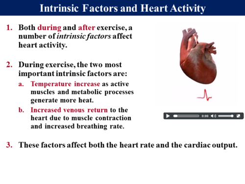 PE_A_Cardiovascular - 4 (Factors Affecting Heart Activity) | Teaching ...