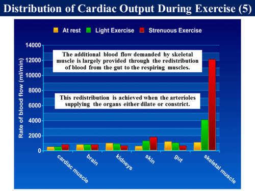 PE_A_Cardiovascular - 6 (Distribution of Cardiac Output & Gas Exchange ...