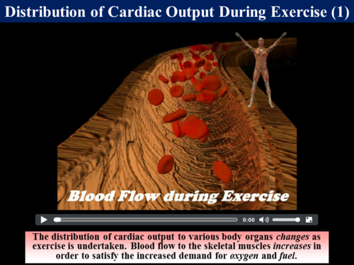 PE_A_Cardiovascular - 6 (Distribution of Cardiac Output & Gas Exchange ...