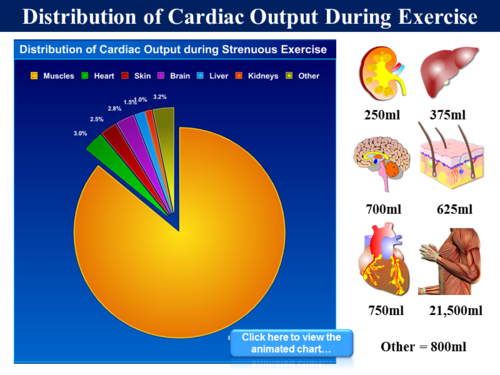 PE_A_Cardiovascular - 6 (Distribution of Cardiac Output & Gas Exchange ...