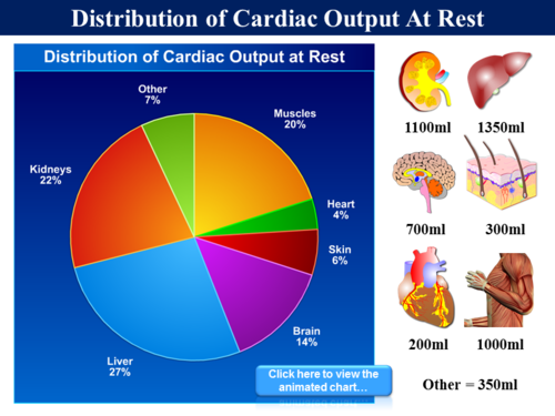 PE_A_Cardiovascular - 6 (Distribution of Cardiac Output & Gas Exchange ...