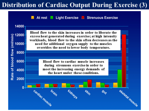 PE_A_Cardiovascular - 6 (Distribution of Cardiac Output & Gas Exchange ...