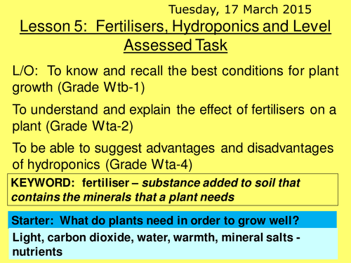 New Curriculum Scheme of Work for Year 8's on Plants and Photosynthesis ...