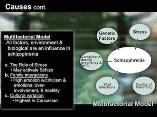 Psychology Disorders Unit - PowerPoints, Worksheets, Review, Lesson ...