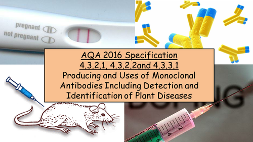 Aqa Gcse Biology 2016 Specification 4 3 2 1 2 And 4 3 3 1 Monoclonal