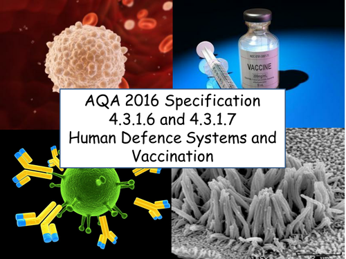 AQA GCSE Biology 2016 Specification 4.3 .1.6 & 4.3.1.7 - Human Defence ...