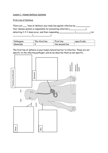 AQA GCSE Biology 2016 Specification 4.3 .1.6 & 4.3.1.7 - Human Defence ...