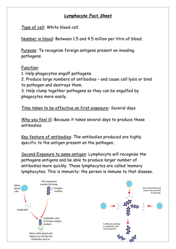Aqa Gcse Biology 2016 Specification 4 3 1 6 And 4 3 1 7 Human Defence