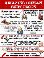 Health and Science Poster: Amazing Human Body Facts | Teaching Resources