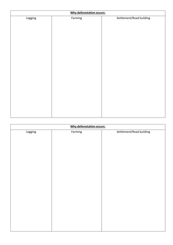 Rainforest 3 hours Year 9-11 | Teaching Resources