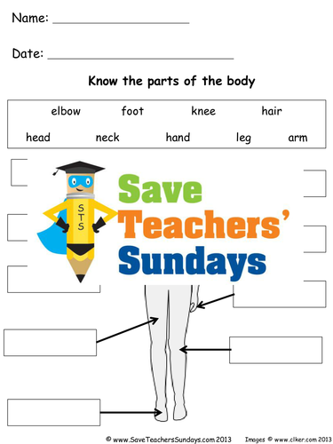 Parts of the Human Body KS1 Lesson Plan and Worksheets | Teaching Resources