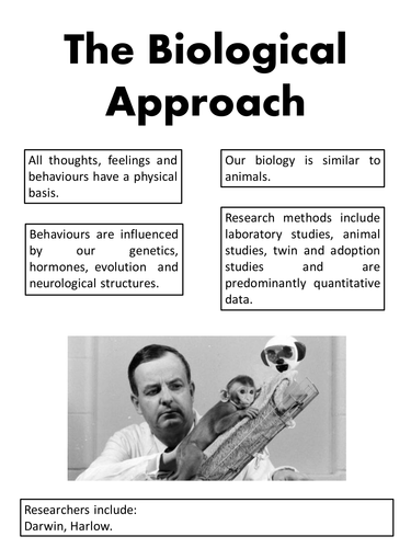 Psychology classroom display posters / Open Evening / Careers ...