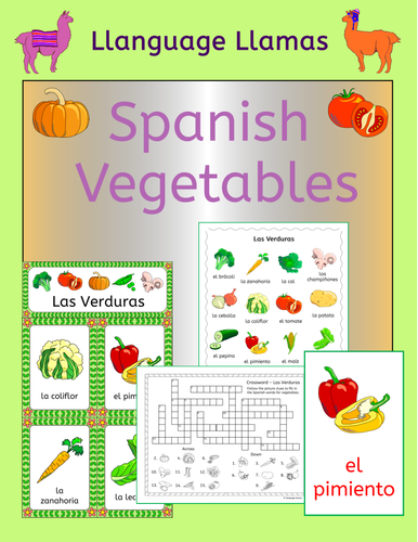 Spanish Topic Sets Bundle - clothing, beach, pets, colors, body, fruit ...
