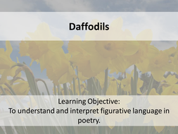 Poetry Lesson - Daffodils, Wordsworth | Teaching Resources