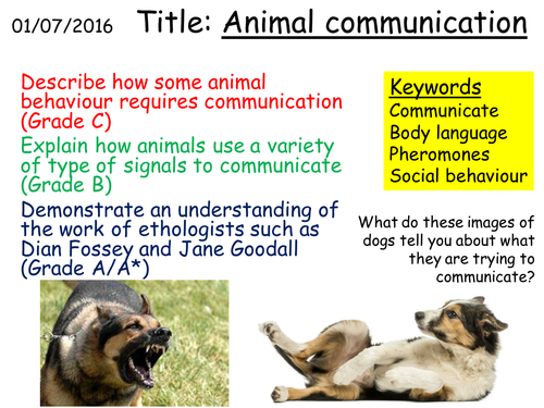 B3.15 Animal Communication | Teaching Resources