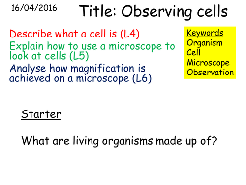 B1 1.1 Observing cells | Teaching Resources