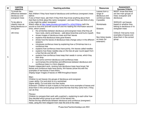 Classify Leaves as Deciduous or Evergreen KS1 Lesson Plan and Worksheet ...