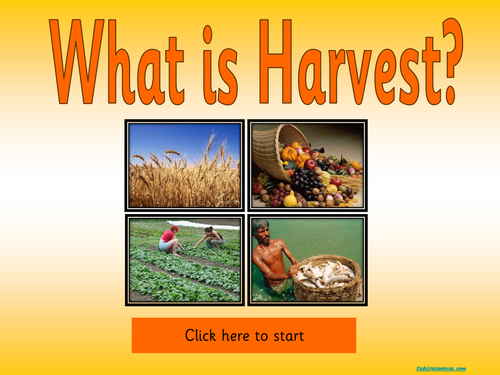 Harvest Topic Bundle | Teaching Resources