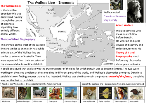 Speciation & evidence for evolution: The Wallace line, fossils: 5 ...