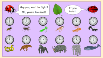 The Bad Tempered Ladybird VCOP & time word mat | Teaching Resources