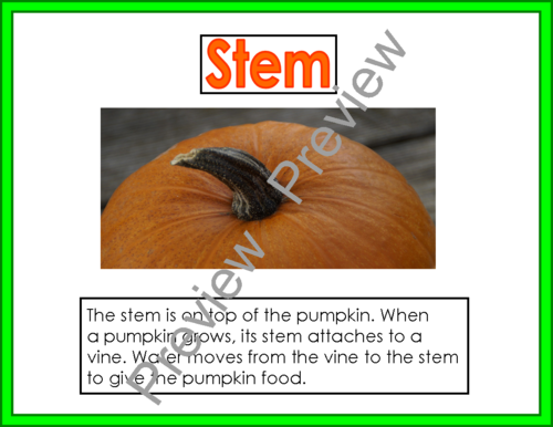 Pumpkin Science Unit | Teaching Resources