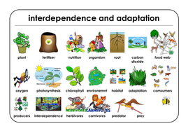 72 Science Learning Mats - 6 for each year group 1 to 6, colour and ...