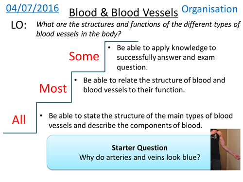 Blood Vessels & Blood - NEW GCSE | Teaching Resources
