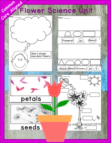 Flowers Science Unit | Teaching Resources