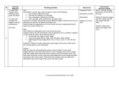 Human Life Cycle KS1 Lesson Plan, Explanation Text and Worksheet ...