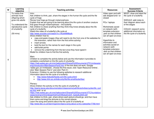 Butterfly Life Cycle KS1 Lesson Plan and Worksheet by ...