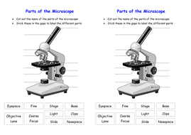 Activate KS3 Science - Module B1 Cells | Teaching Resources