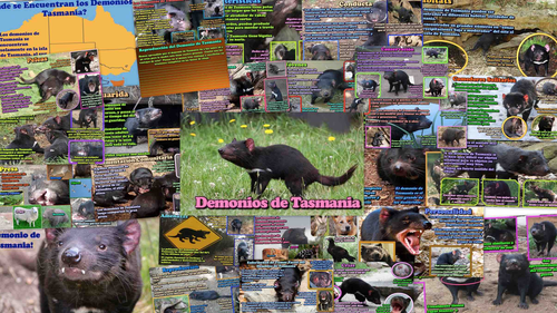 El Demonio de Tasmania - PowerPoint | Teaching Resources