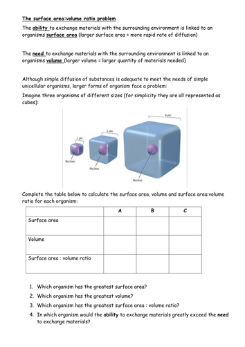Surface area:Volume - the basic principles and applying knowledge ...