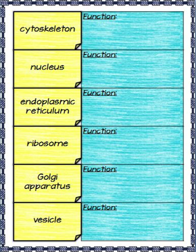 Google Drive Biology -Cell Organelle Vocabulary for Google Classroom ...