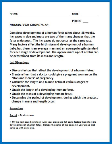 Google Drive Biology- Human Fetal Growth Lab for Google Classroom ...