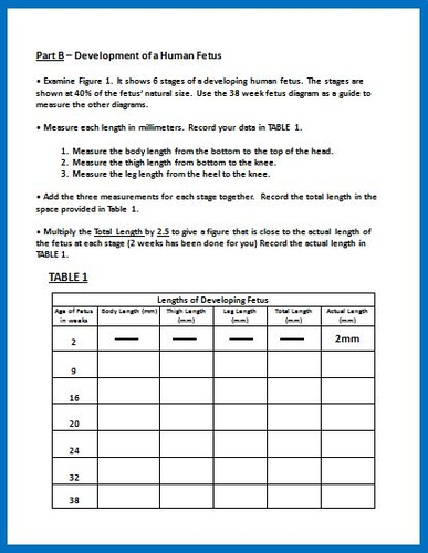 Google Drive Biology- Human Fetal Growth Lab for Google Classroom ...