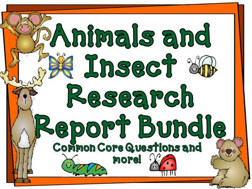 Animal and Insect Research Report | Teaching Resources