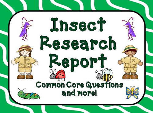 Insect Research Report | Teaching Resources