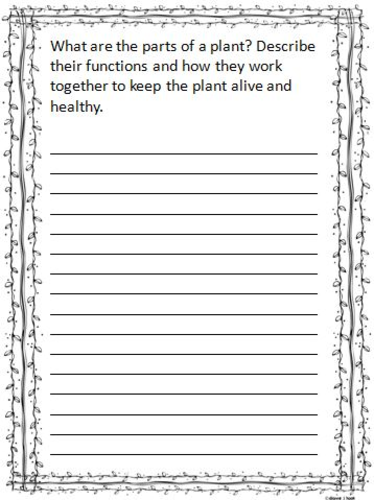 Plant Research Report | Teaching Resources