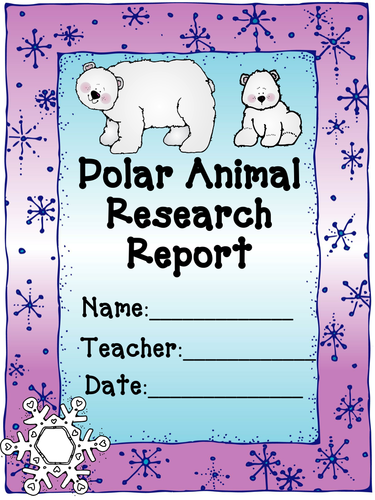 Polar Animal Research Report | Teaching Resources