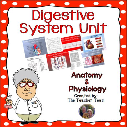 Anatomy Physiology Biology Units Full Year Bundled Package | Teaching ...