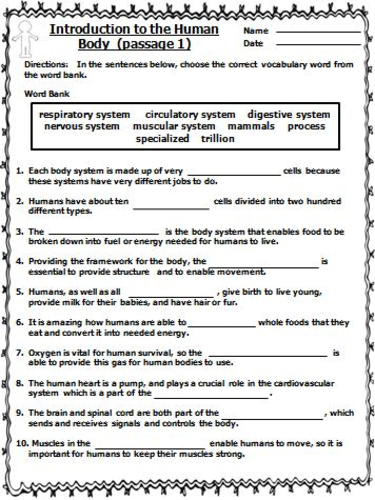 Human Body Systems Bundle | Teaching Resources