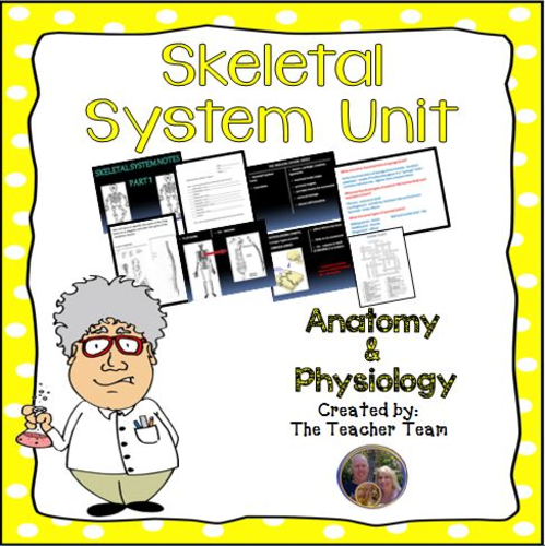 Skeletal System Unit | Teaching Resources