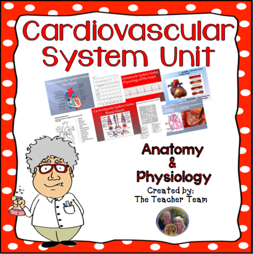 Cardiovascular System Unit (Circulatory System) Bundle | Teaching Resources