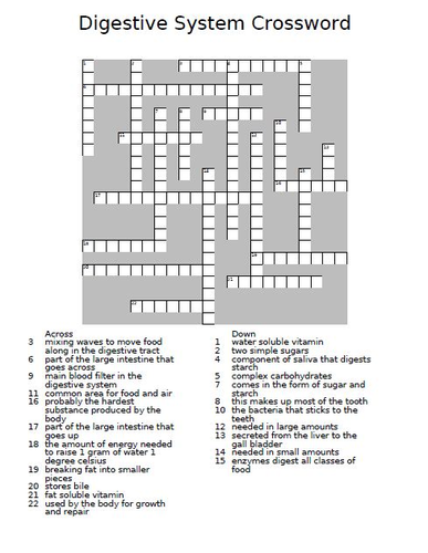 Anatomy Biology Crossword Puzzles Set of 10 | Teaching Resources
