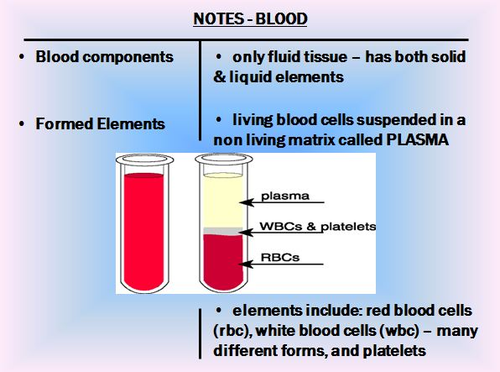 Blood Notes - Red Blood Cells & White Blood Cells Powerpoint ...