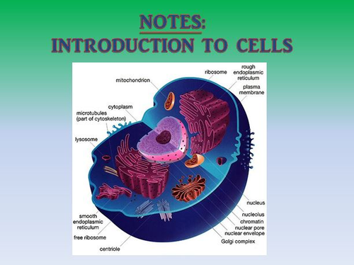 Cell Introduction Notes Powerpoint Presentation | Teaching Resources
