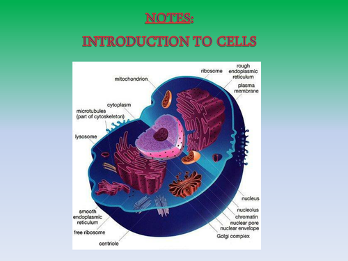 Cell Introduction Notes Powerpoint Presentation | Teaching Resources