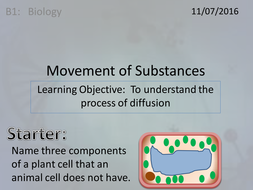 Activate 1: B1: 1.4 Movement of Substances | Teaching Resources